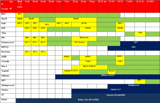 Importance of Childhood Vaccinations for Kids | Anexas Clinic